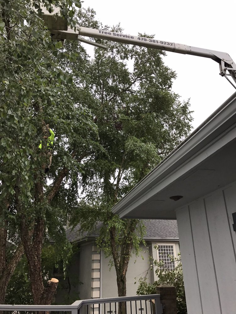 UPKEEP TREE SERVICE - Updated July 2025 - 286 N B St, Bella Vista ...