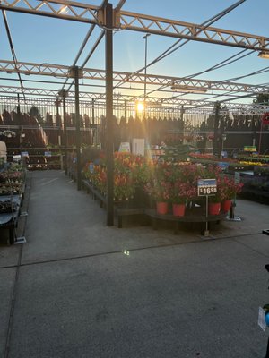 WALMART SUPERCENTER - Updated January 2026 - 20 Photos & 85 Real ...