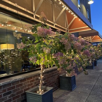 TRUE KITCHEN + BAR - Updated December 2024 - 330 Photos & 332 Reviews ...