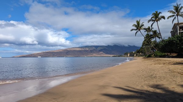 SUGAR BEACH - Updated October 2025 - 96 Photos & 37 Reviews - N Kihei ...