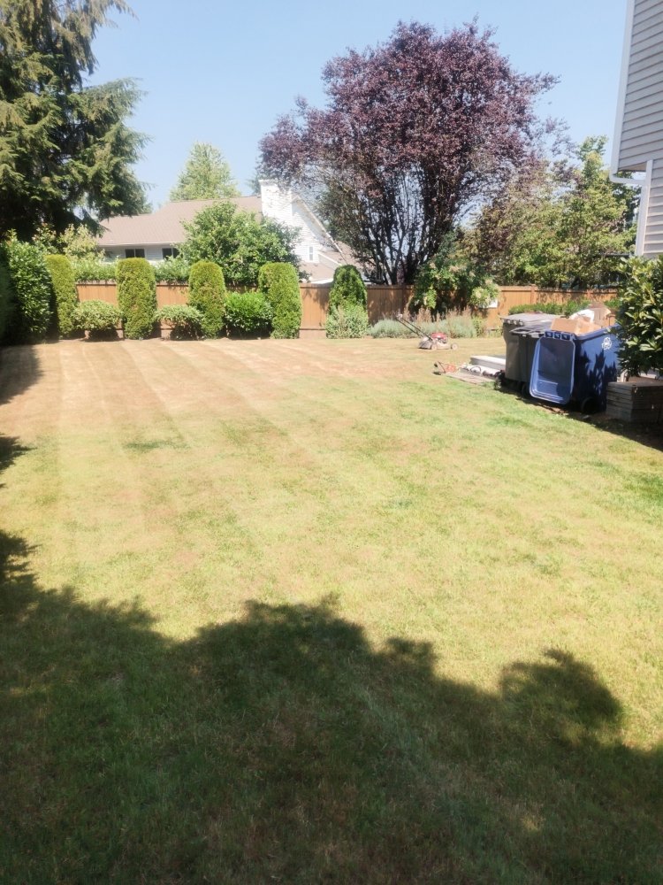 Tim S Tree Service And Landscaping Updated August 2024 21 Photos