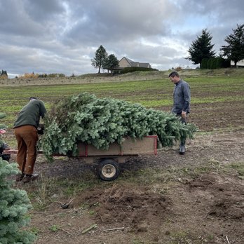 LEACH TREE FARMS - Updated December 2025 - 27 Photos & 18 Reviews ...