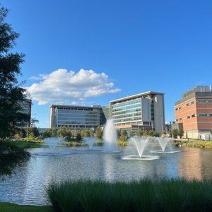 HOTEL ELEO AT THE UNIVERSITY OF FLORIDA - 74 Photos & 19 Reviews - 1514 ...