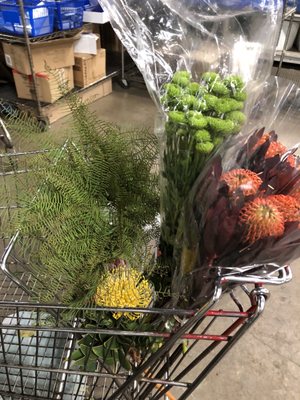 KOEHLER & DRAMM WHOLESALE FLORIST - Updated June 2024 - 10 Photos - 2407 E Hennepin Ave ...