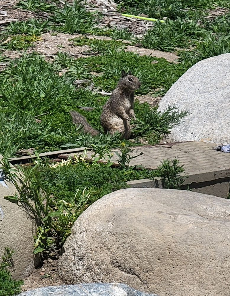 SECCOMBE LAKE PARK - Updated January 2026 - 20 Photos & 17 Reviews ...