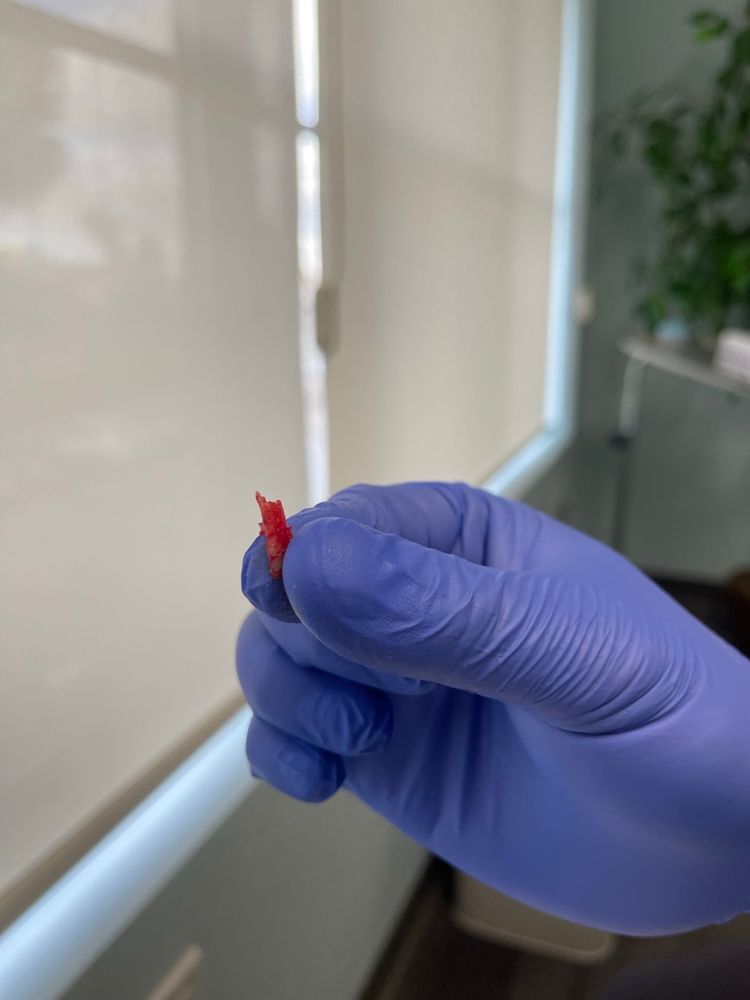 NGUYEN KY, DPM - Updated December 2025 - 11 Photos & 39 Reviews - 2365 ...