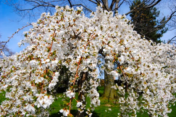 WADE PARK LAGOON - Updated March 2024 - 27 Photos & 16 Reviews - Martin ...