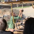 SAFARI WEST - Updated January 2026 - 3601 Photos & 1126 Reviews - 3115 ...