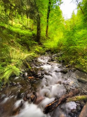 FLAMING GEYSER STATE PARK - Updated July 2024 - 121 Photos & 40 Reviews ...