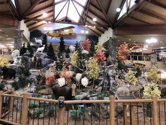 CABELA’S - Updated June 2025 - 171 Photos & 90 Reviews - 1 Cabela Way ...