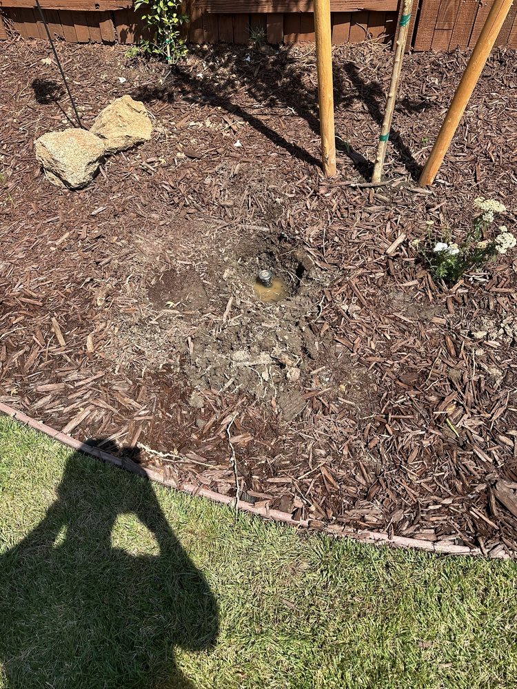 SHEAR PERFECTION LANDSCAPE & MAINTENANCE COMPANY - Updated December ...