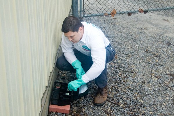 SCHERZINGER PEST CONTROL - Updated October 2025 - 16 Photos & 42 ...