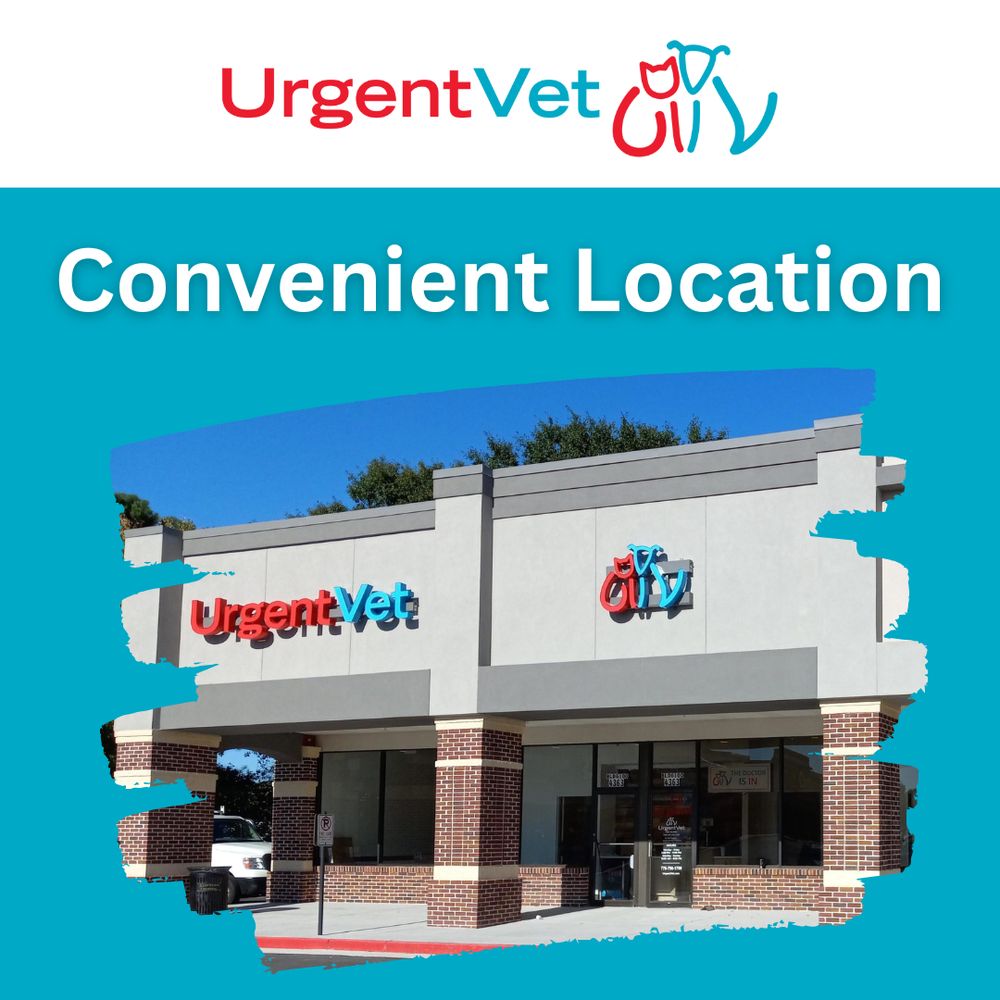 URGENT VET - Updated May 2024 - Request Consultation - 10556 N Oracle ...