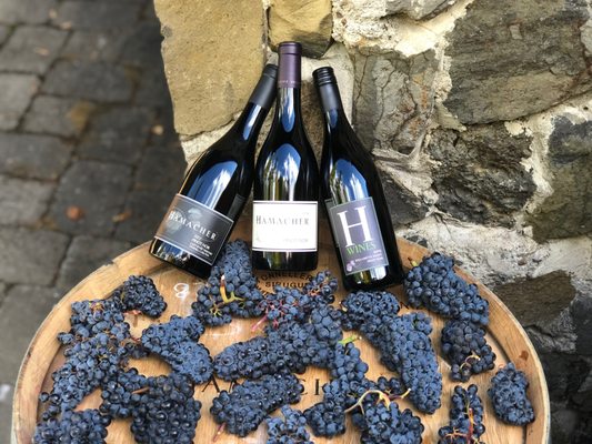 HAMACHER WINES - 33 Photos & 17 Reviews - 14665 SW Winery Ln, Beaverton ...