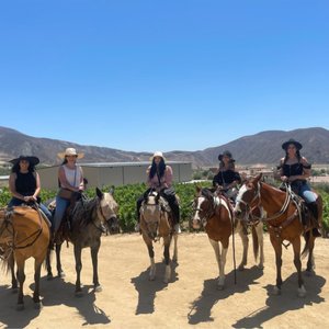 WINE COUNTRY TRAILS BY HORSEBACK - 416 Photos & 417 Reviews - Tours ...