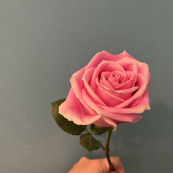 KAPIOLANI WOMEN’S CENTER - Updated August 2025 - 126 Photos & 58 ...