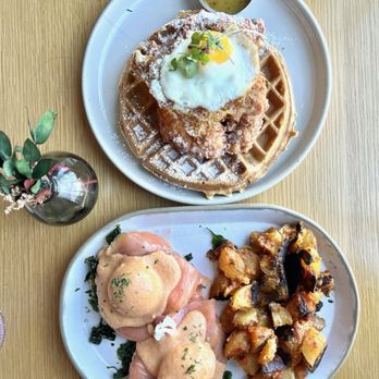 HATCH 44 CAFE - Updated June 2024 - 1532 Photos & 862 Reviews - 25 New ...