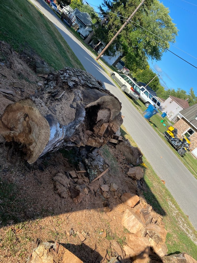 TOP NOTCH TREE CARE - Request a Quote - Marion, Indiana - Tree Services ...