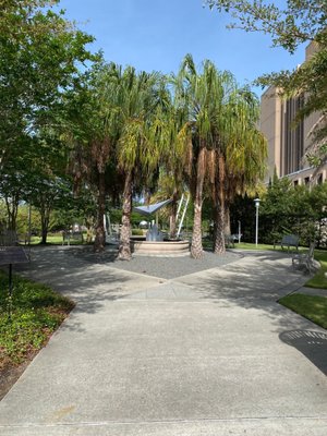 UNIVERSITY OF SOUTH FLORIDA LIBRARY - Updated August 2025 - 10 Reviews ...