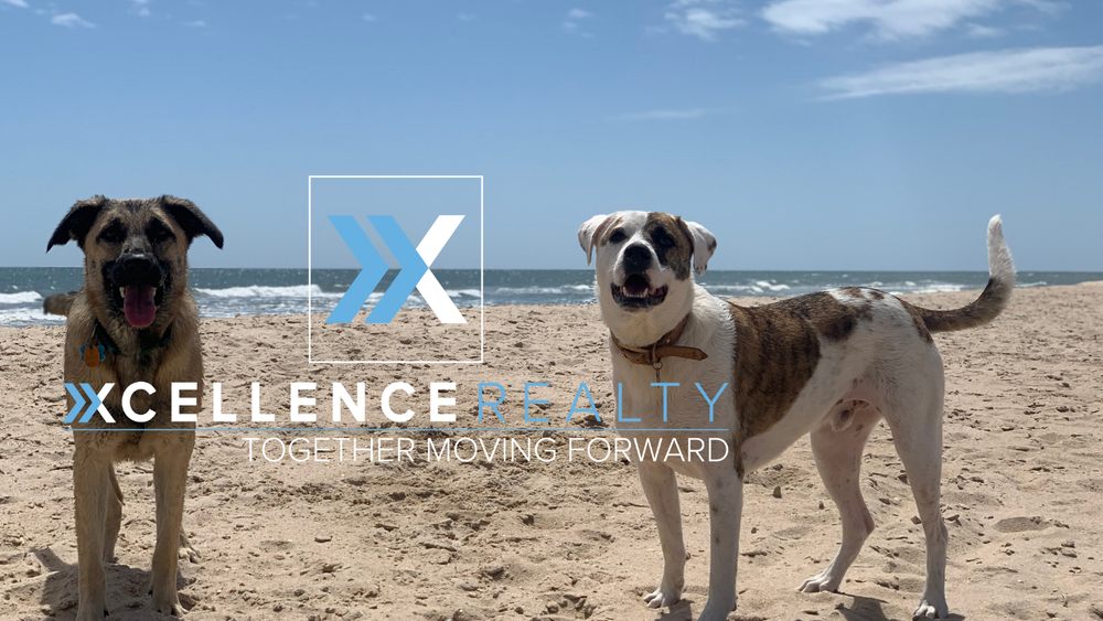 ALLISON GARRISON XCELLENCE REALTY - Updated April 2024 - Contact Agent ...