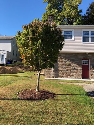 NORTH EASTERN TREE SERVICE - Updated October 2025 - 29 Photos & 104 ...