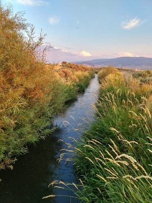 THE MILL CABINS - Updated December 2025 - 1475 UT-24, Bicknell, Utah ...