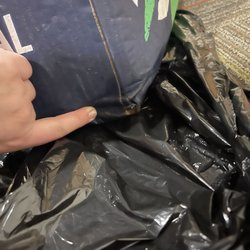 FETCH PACKAGE - 77 Photos & 507 Reviews - 1705 Guadalupe St, Austin ...