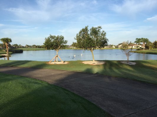 VIERA EAST GOLF CLUB - 10 Photos & 14 Reviews - 2300 Clubhouse Dr ...