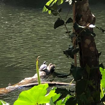 WOODSY HOLLOW CAMPGROUND - Updated February 2026 - 36 Photos - 248 ...