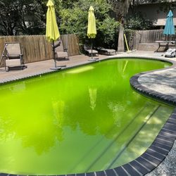 BLUE SCIENCE POOLS - 32 Photos & 75 Reviews - 5733 TX-121, The Colony ...