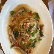 TOMMY BAHAMA RESTAURANT | BAR | STORE - JUPITER - 445 Photos & 347 ...