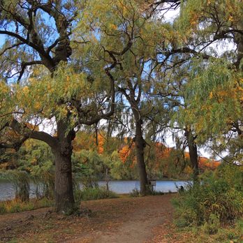 HIGH PARK - 948 Photos & 160 Reviews - 1873 Bloor St W, Toronto ...