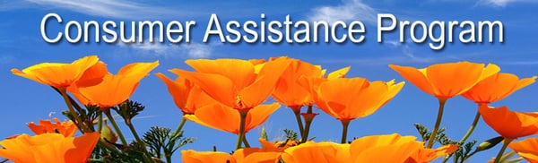 CONSUMER ASSISTANCE PROGRAM VEHICLE RETIREMENT - Updated December 2025 ...