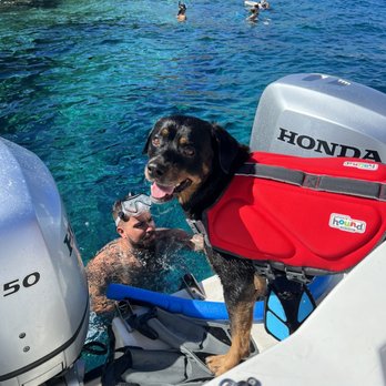 GREEN ISLAND CHARTERS - Updated December 2025 - 54 Photos & 21 Reviews ...