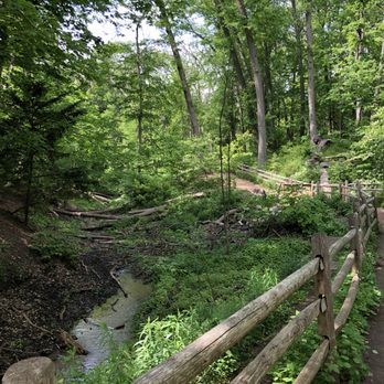 GLEN STEWART RAVINE - Updated October 2025 - 174 Photos - Glen Manor ...