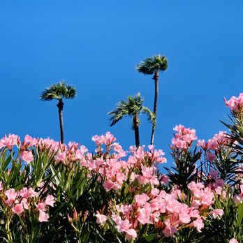 WHITE TANK LIBRARY - Updated December 2025 - 104 Photos & 43 Reviews ...