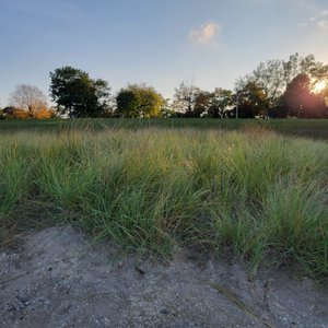 WICK FIELD - Updated April 2025 - 15 Photos - 4929 W Vliet St ...