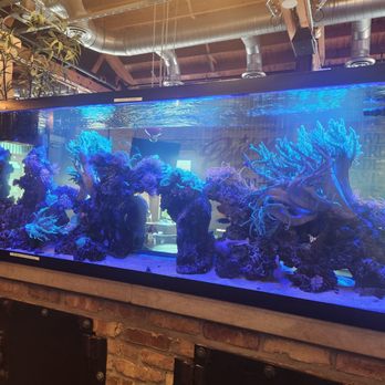 PAISANS PIZZERIA & BAR - Updated October 2025 - 310 Photos & 548 ...