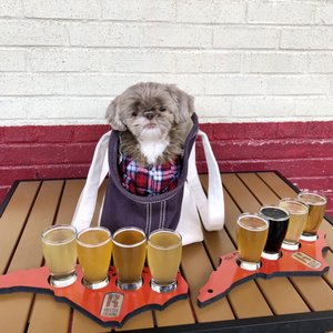 COWBAR BURGERS & FRIES - 127 Photos & 118 Reviews - Burgers - 411 W ...