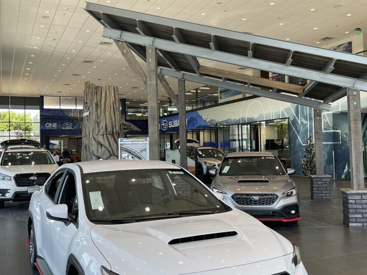 SUBARU - Updated January 2026 - 238 Photos & 355 Real Reviews - 25000 ...