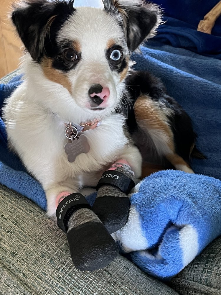 DUNN ANIMAL HOSPITAL - Updated October 2025 - 10 Reviews - 2000 W ...