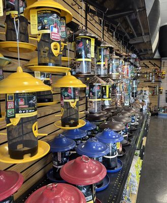 BENTLEY RIDGE TREE FARM - Updated December 2025 - 84 Photos & 11 ...