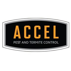 ACCEL PEST & TERMITE CONTROL - Updated December 2025 - 11 Photos & 62 ...