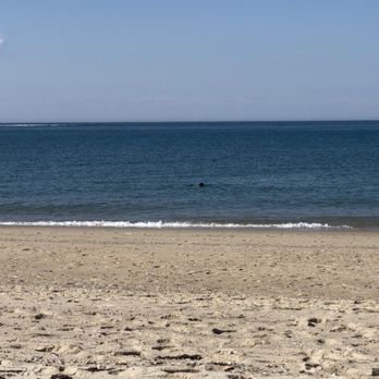 RACE POINT BEACH - Updated September 2025 - 207 Photos & 82 Reviews ...