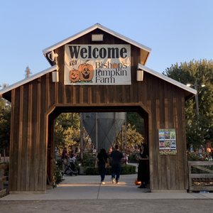 BISHOP’S PUMPKIN FARM - 783 Photos & 468 Reviews - 1415 Pumpkin Ln ...