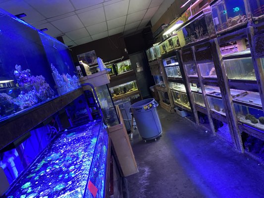 THE FISH PLACE - Updated October 2025 - 26 Photos & 41 Reviews - 1728 ...