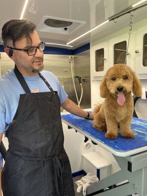 YOUR PERSONAL GROOMER MOBILE PET SALON - Updated July 2024 - 128 Photos ...