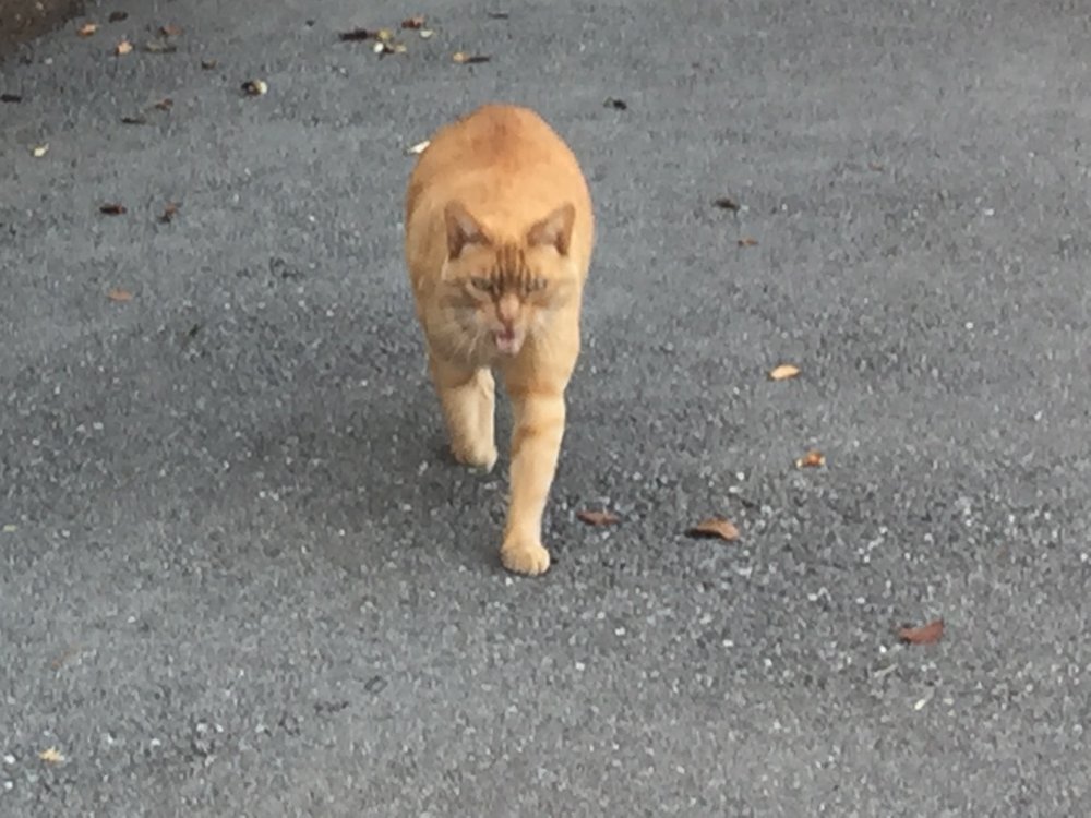 NANCY RUSSELL ARTIST STUDIO - Updated October 2025 - 25 Photos - 10942 ...