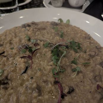 GIARDINO - Updated August 2025 - 224 Photos & 179 Reviews - 2503 ...