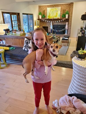 Drain Terrier - Updated January 2026 - 44 Photos - 95 Reviews - 6515 ...